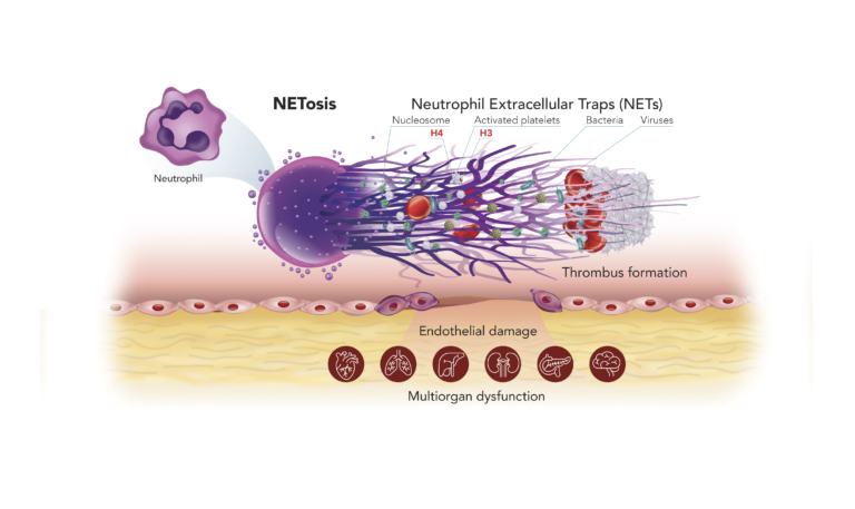 Nu.Q NETs - NETosis Assay Kits - Volition